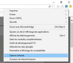 Comment vider le cache dans Internet Explorer ? | Debugbar