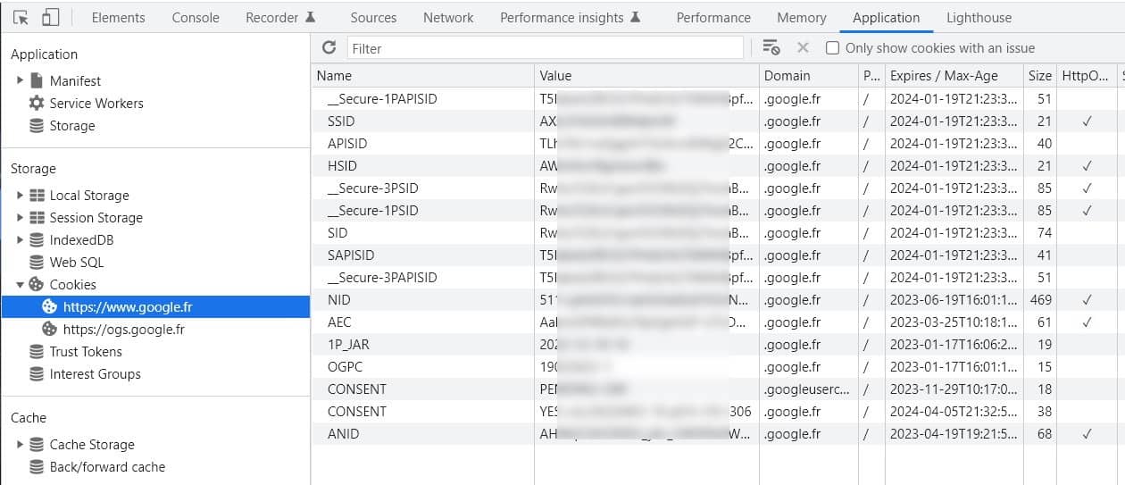 Cookie informatique: tout ce que vous devez savoir