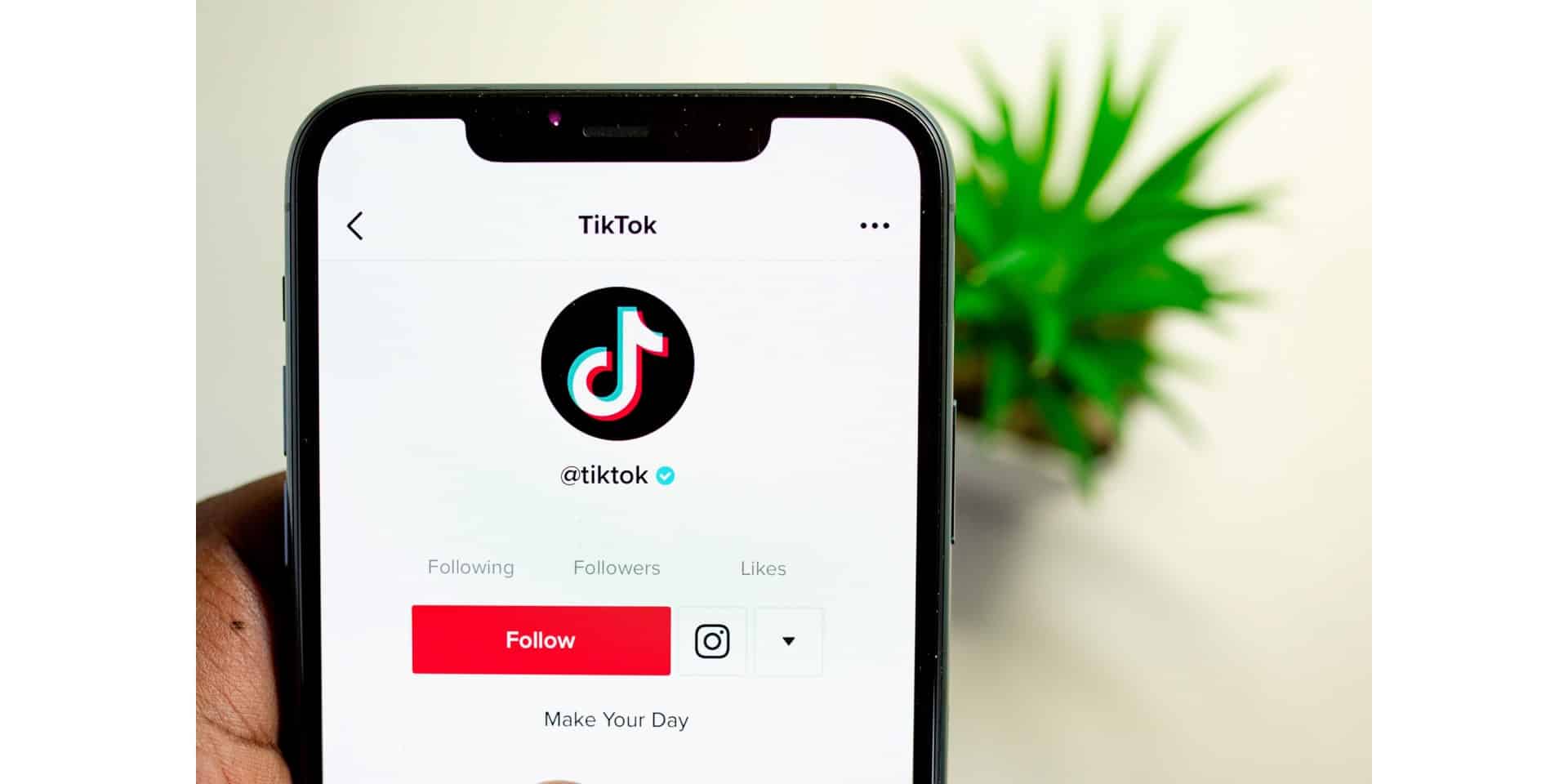 TikTok for beginners: how to use the application?
