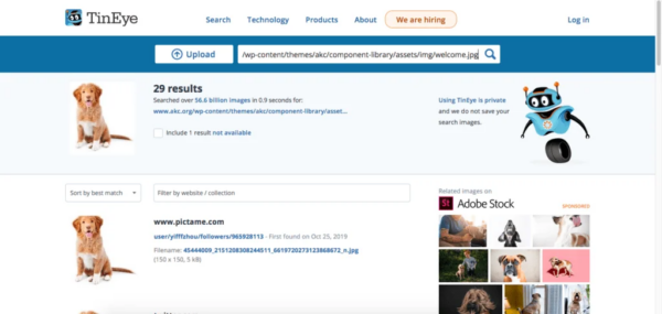 Recherche inversée d'image : 9 outils indispensables