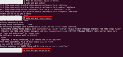 How to Completely Uninstall Nginx? | DebugBar