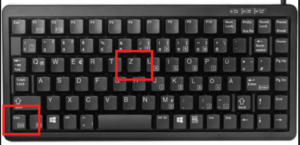 What is the Ctrl + Z Keyboard Shortcut and How to Use It? | DebugBar