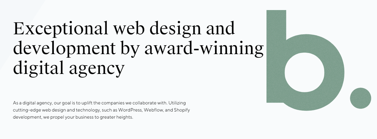 Leading Web Development Companies for 2024 | DebugBar